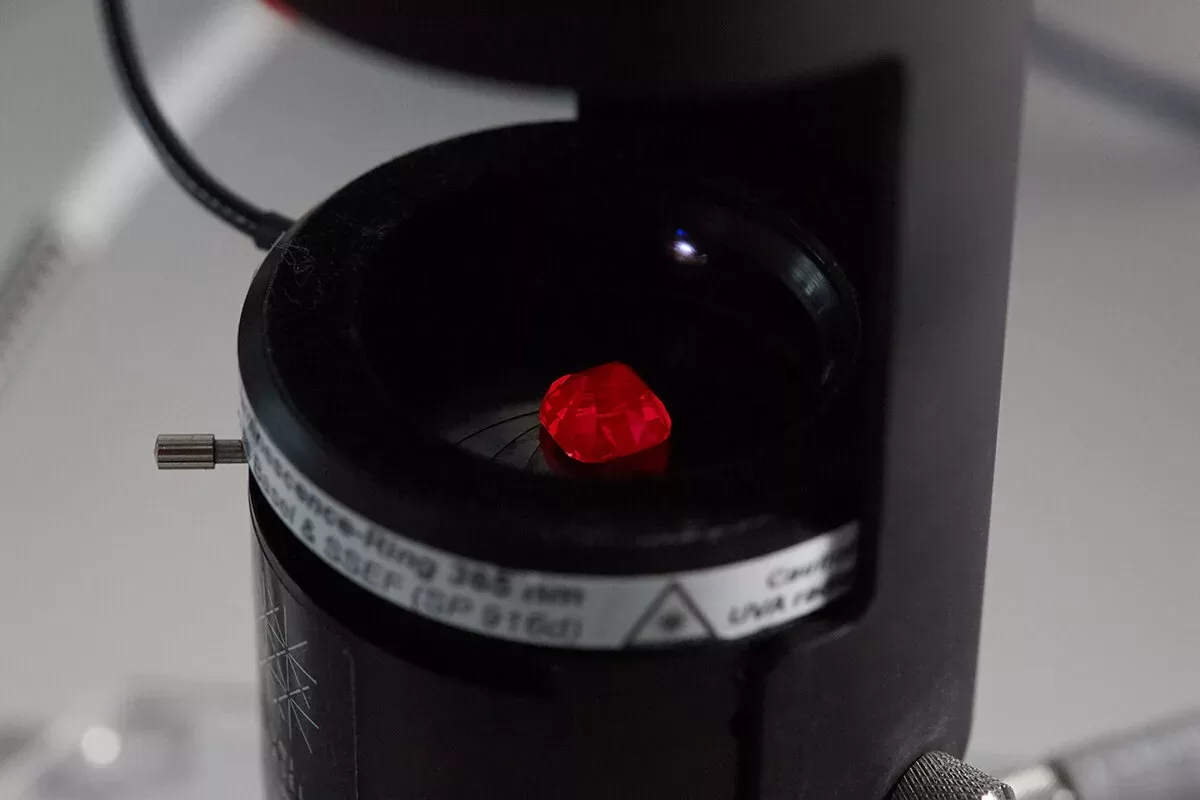 Portable UV-Vis — SSEF Instruments